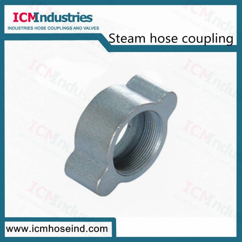 Steam Hose Coupling - Double Well International Trade Co., Ltd