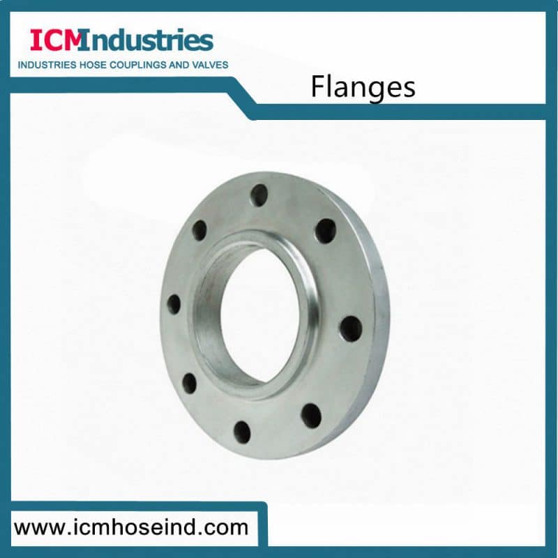 Flanges - Double Well International Trade Co., Ltd